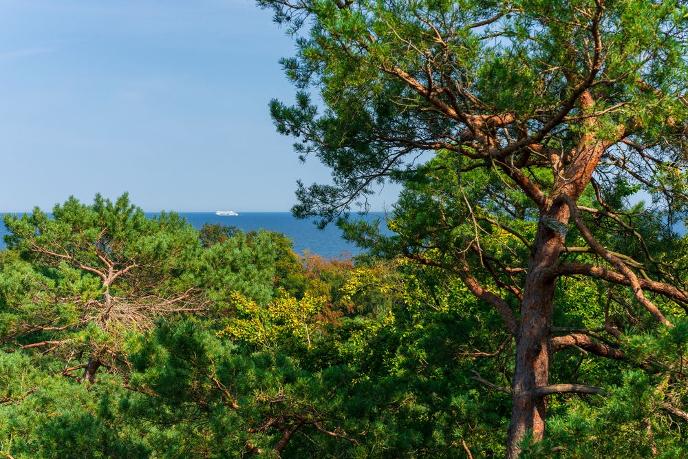 Unity- Line Swinemünde-Ystad Foto & Bild | deutschland, europe ...