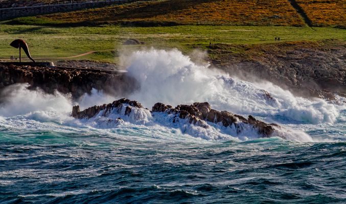 Spezial Bilder & Fotos