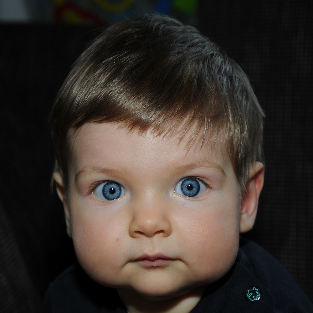 Unser Enkel Max Foto & Bild | archiv, photokina - menschen, archiv 2009 ...