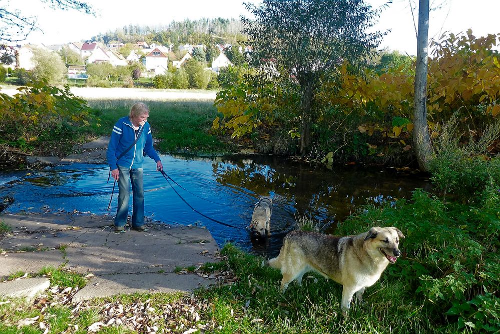 Unser neuer Hund Bonnie findet Wasser toll Foto & Bild | tiere, tier und mensch, hunde Bilder ...