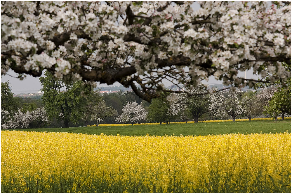 Unsere Heimat.... Foto & Bild | landschaft, lebensräume, natur Bilder ...