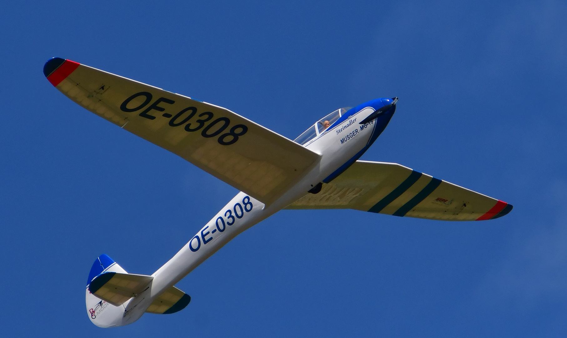 Unsere Musger 19 Steinadler Foto & Bild | luftfahrt, projekte ...