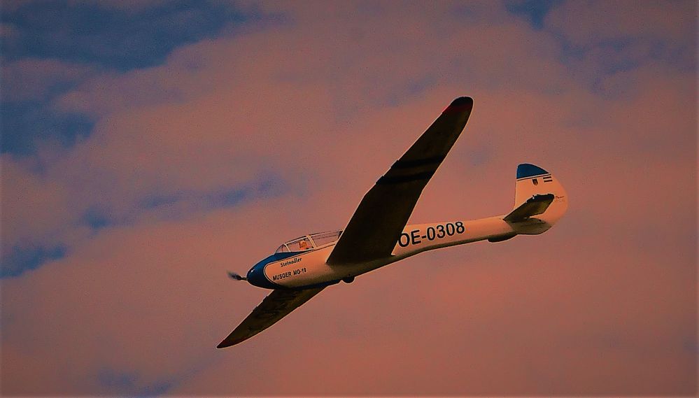 Unsere Musger MG 19 Steinadler Foto & Bild | luftfahrt, modellflug ...