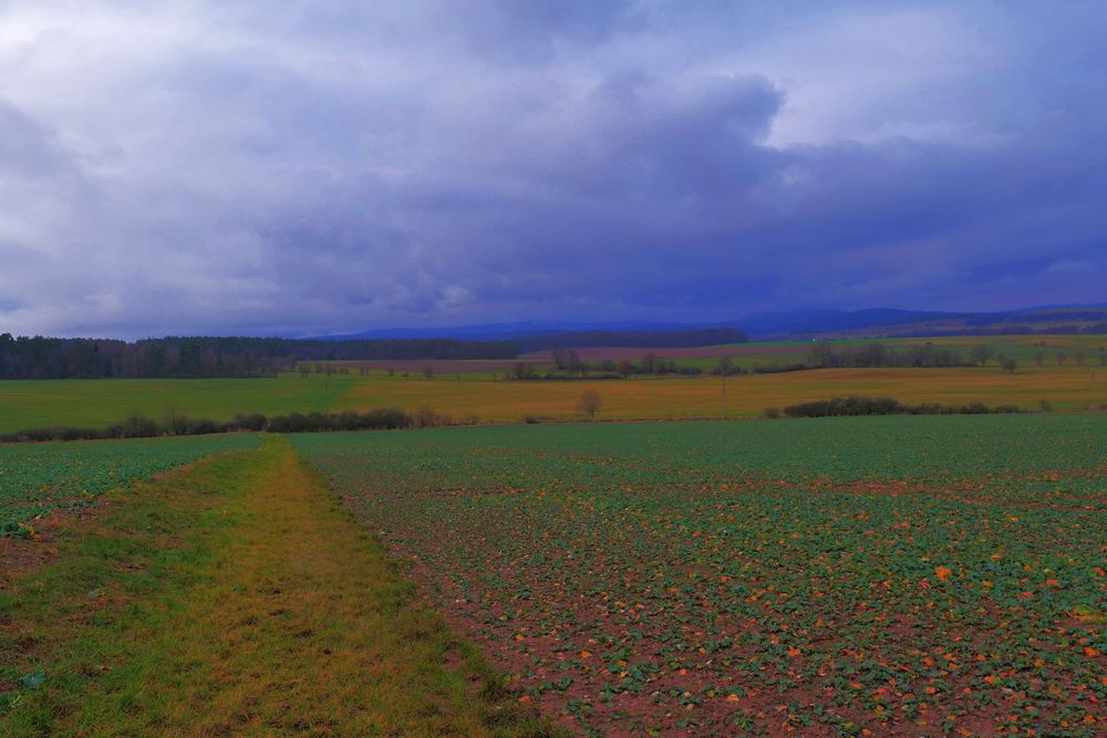 unsere schöne Landschaft Foto & Bild | landschaft, Äcker, felder & wiesen, naturaleza Bilder auf ...