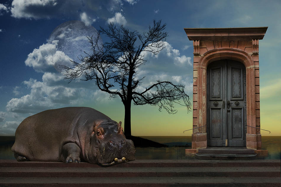 Unsinnige Kombination mit kitschigem Hintergrund. Foto & Bild | fotomontage, surreal, digiart ...