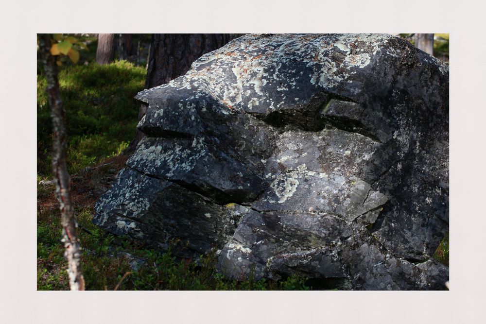 Unsterblich Foto & Bild | europe, scandinavia, sweden Bilder auf ...