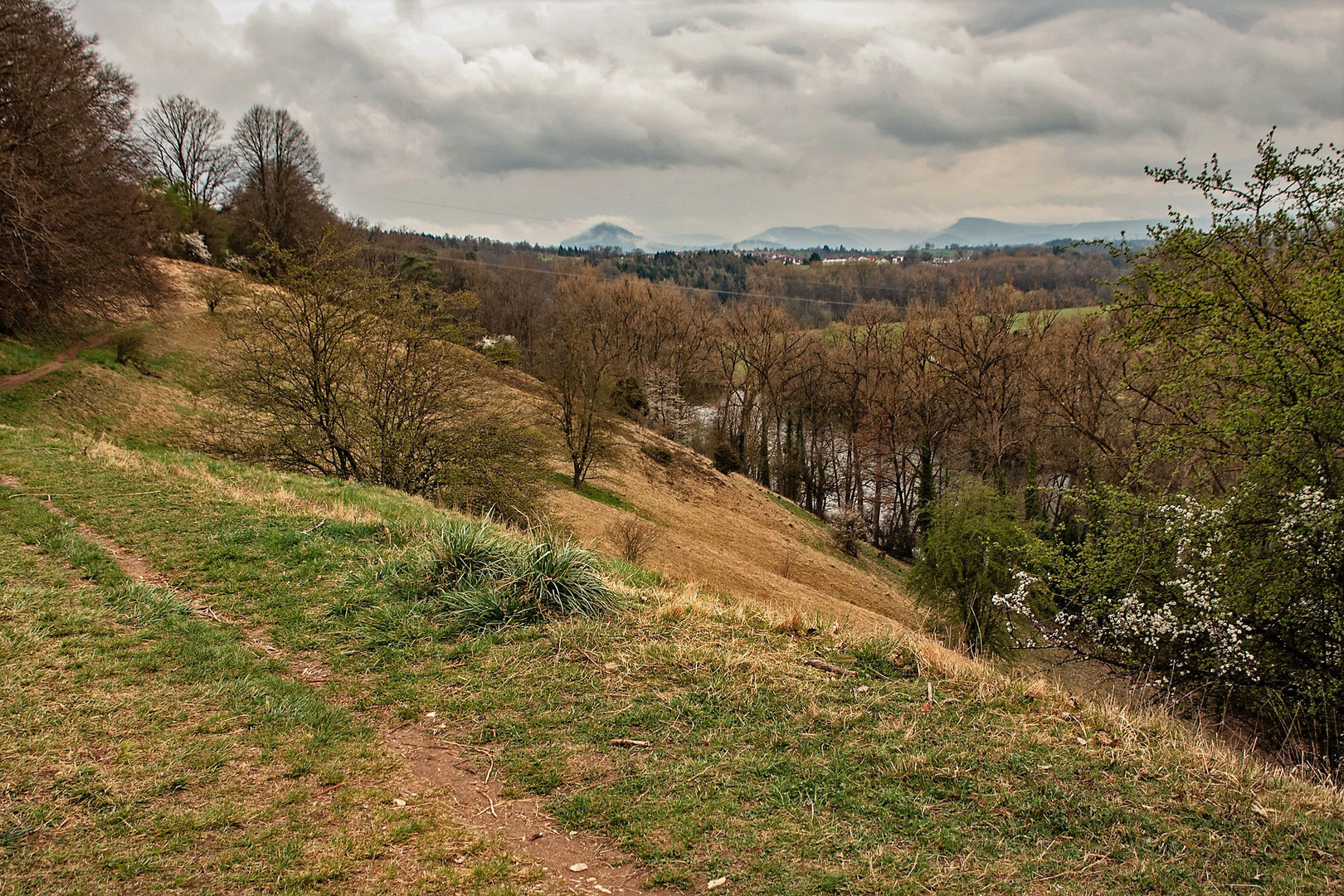 Unten fließt der Neckar Foto & Bild | landschaft, heimat, wasser Bilder ...