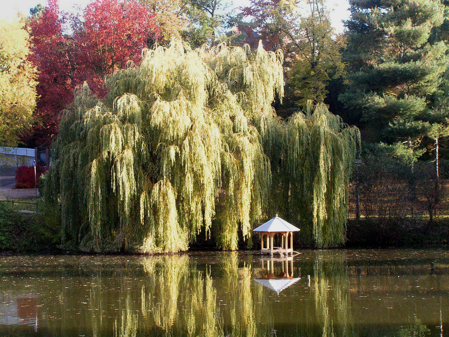 Unter der Trauerweide Foto & Bild | landschaft, bach, fluss & see, see, teich & tümpel Bilder ...