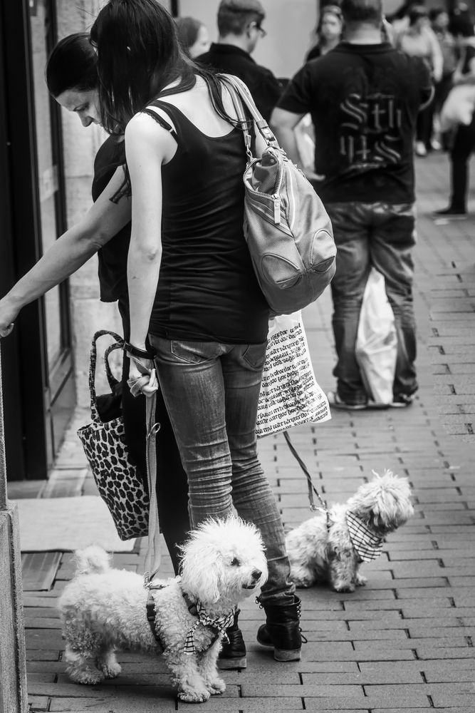 Unterschiedliche Interessen Foto & Bild | erwachsene menschen ...