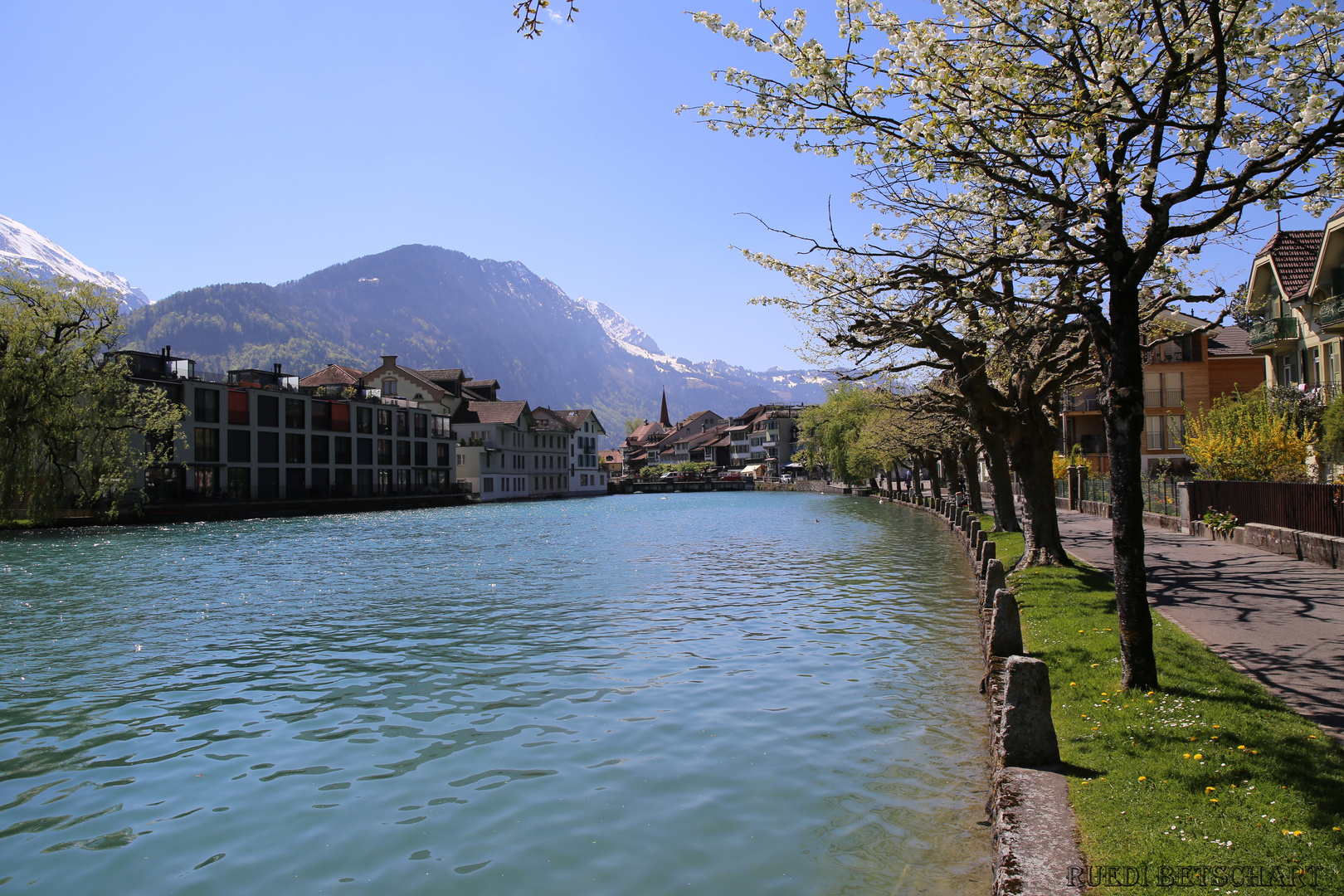 Unterseen Foto & Bild | jahreszeiten, frühling, natur Bilder auf ...