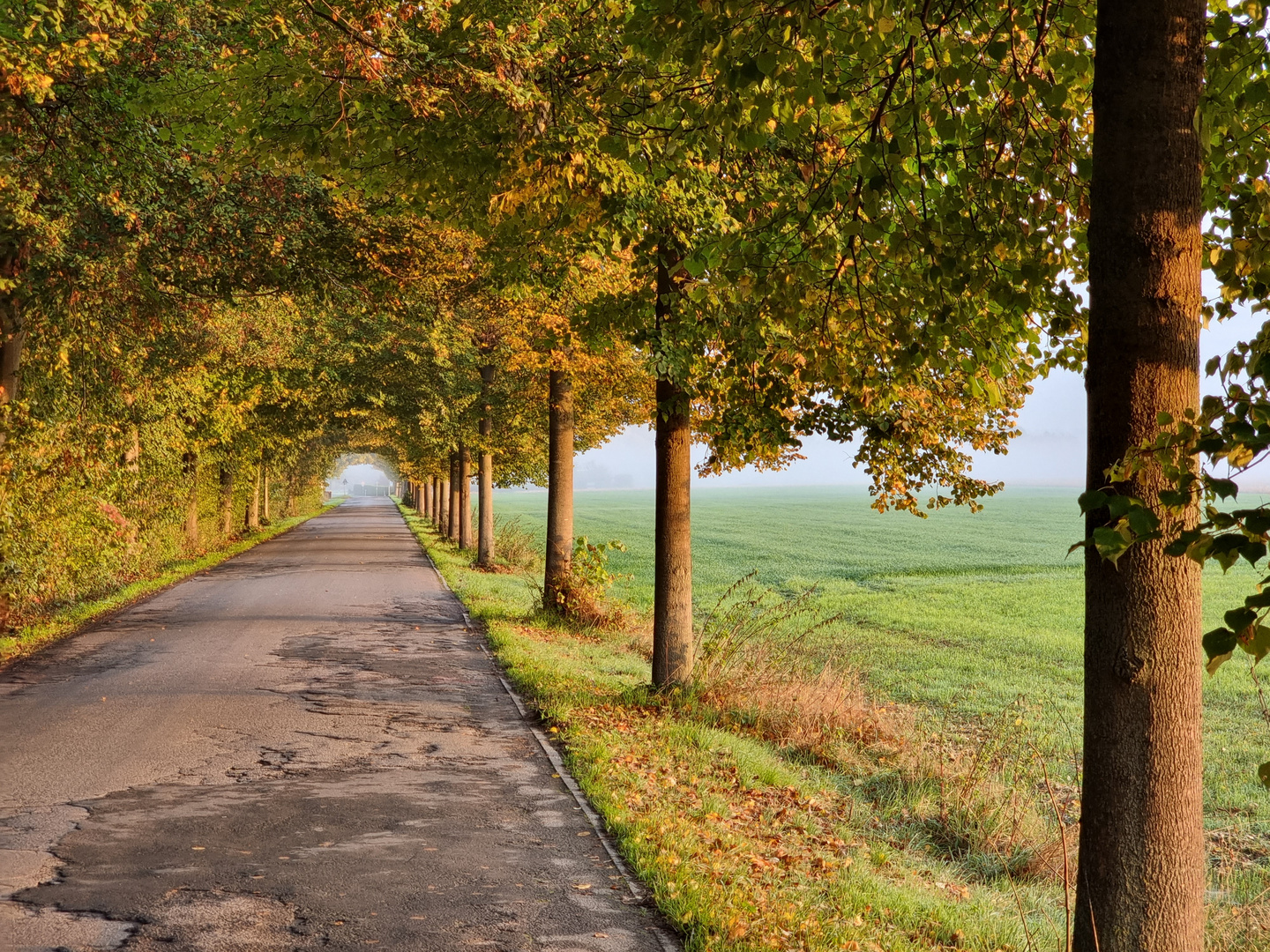 Unterwegs Foto & Bild | techniken, kamera-techniken, handy-fotos Bilder ...