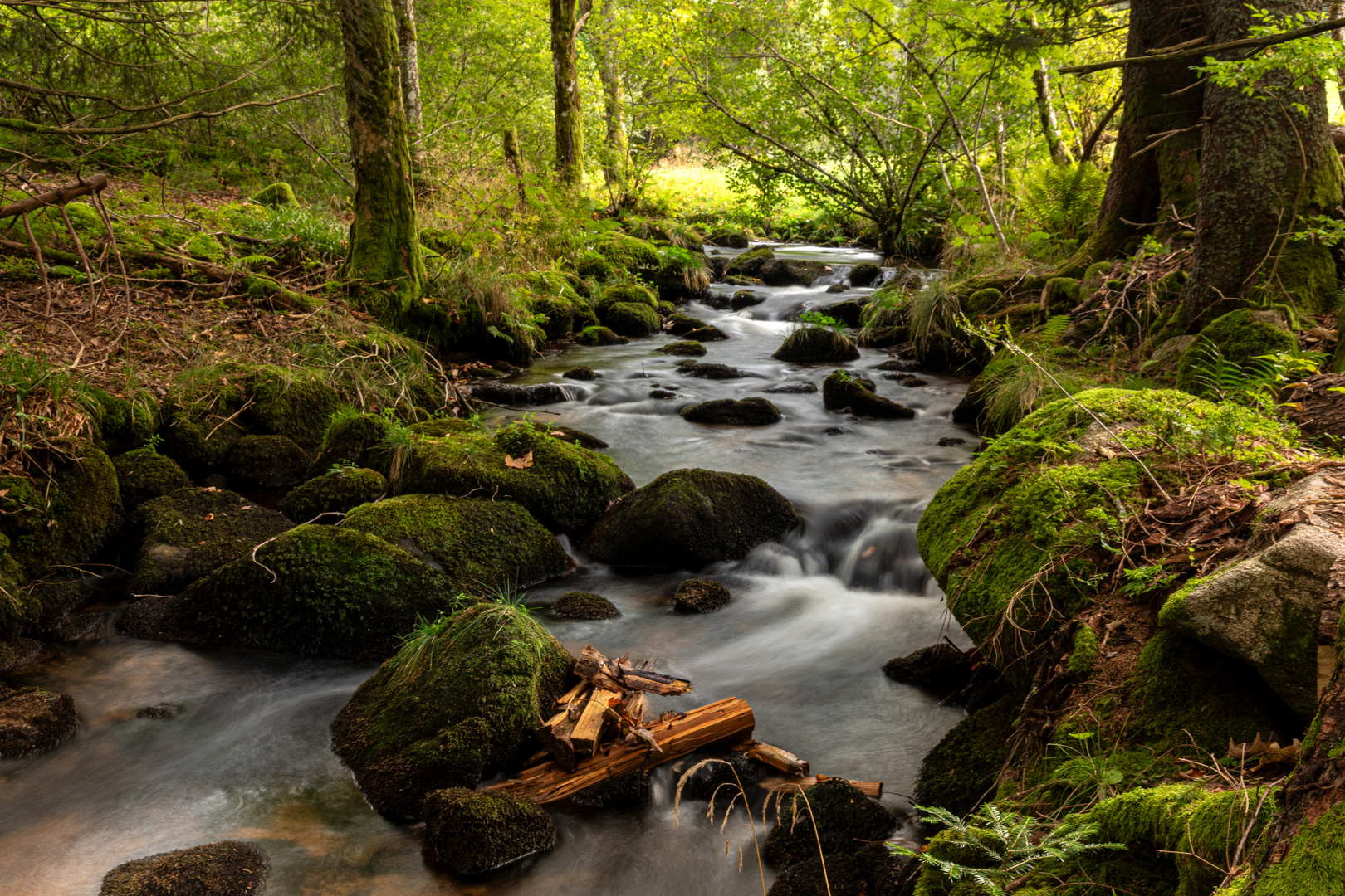 Unterwegs an der Elz Foto & Bild | landschaft, bach, fluss & see, natur ...