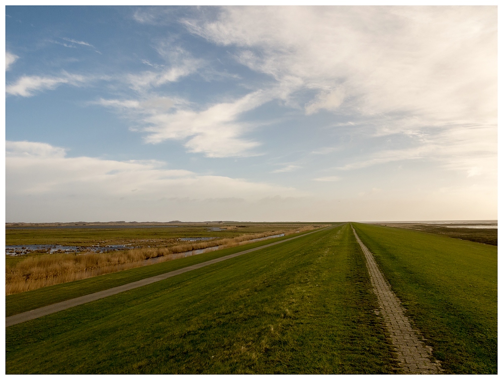 Unterwegs auf dem Deich Foto & Bild | nordsee Bilder auf fotocommunity