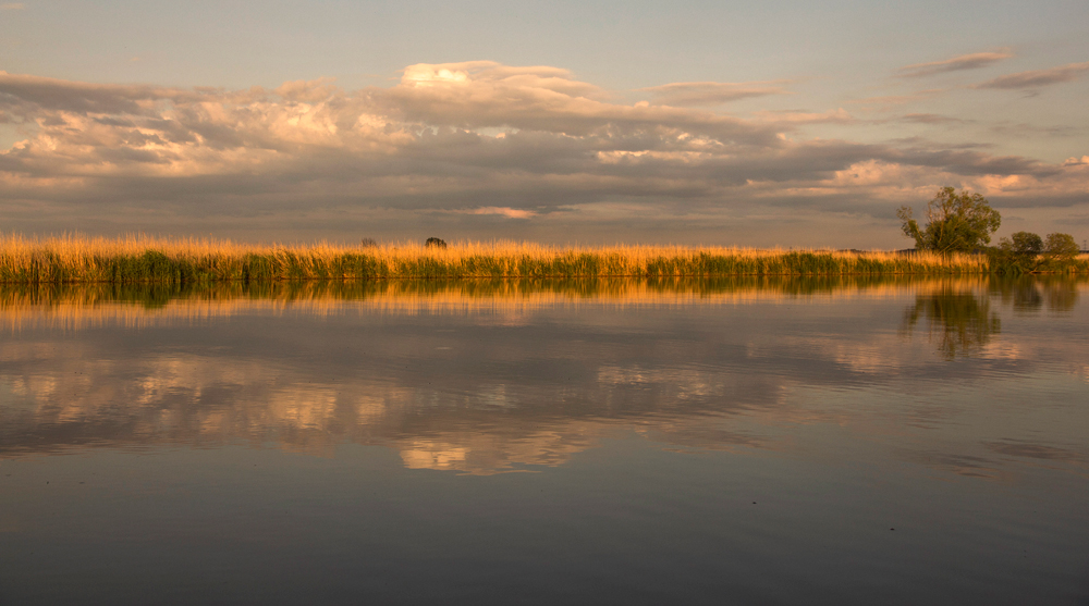 Unterwegs auf der Oder Foto & Bild | landschaft, bach, fluss & see ...