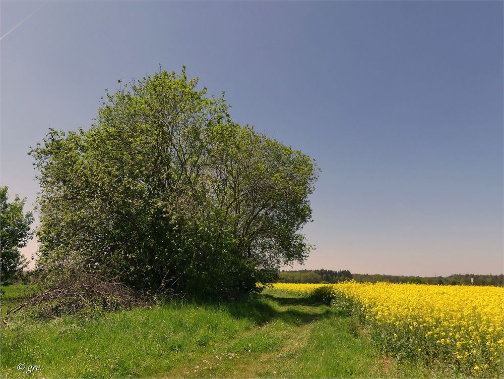 Unterwegs durch die Felder Foto & Bild | frühling, april, natur Bilder ...