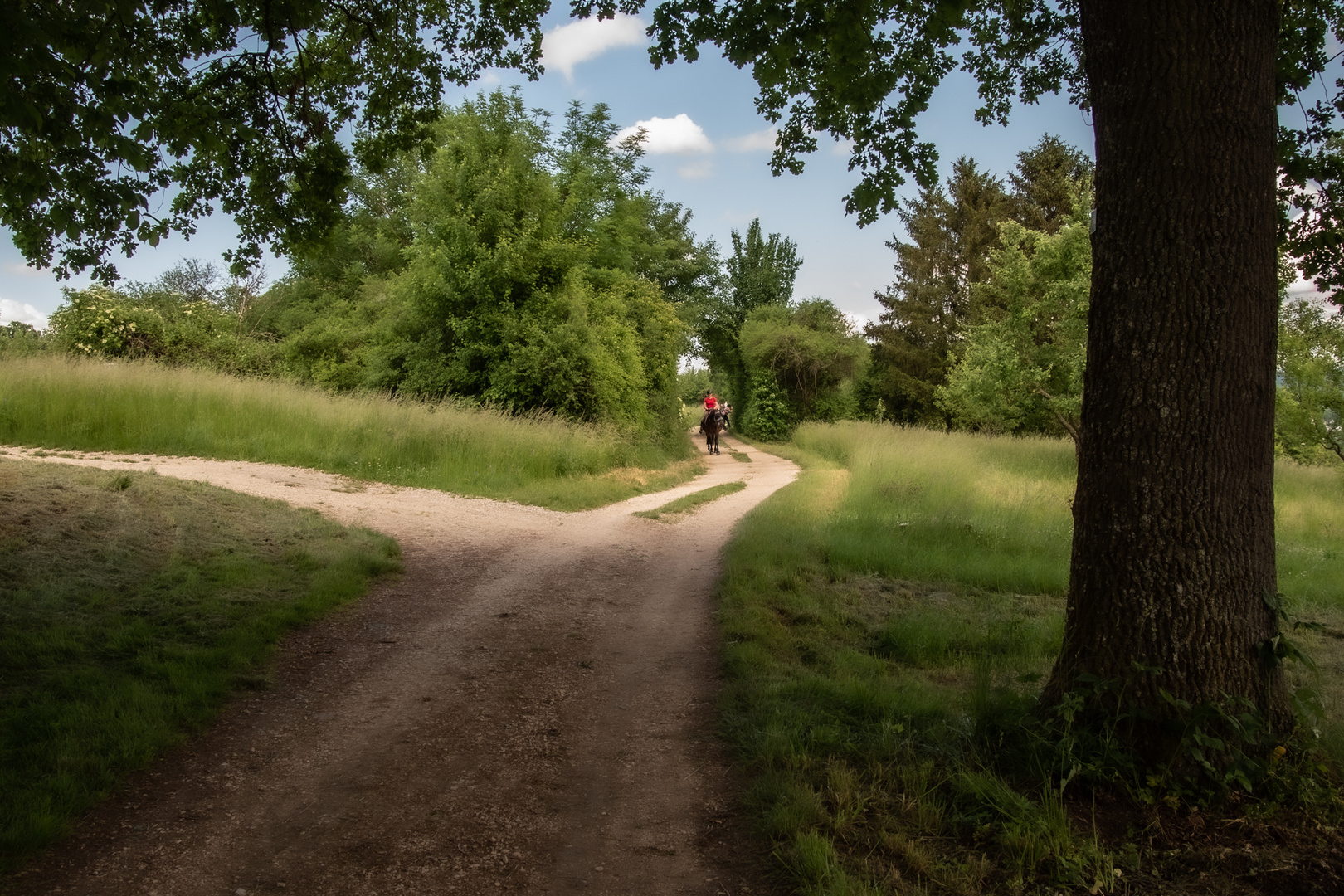 unterwegs Foto & Bild | landschaft, wege und pfade, heimat Bilder auf ...