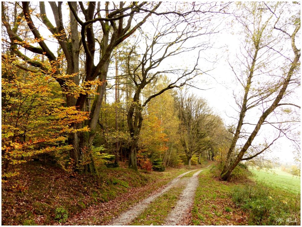 Unterwegs im nebeligen Herbst , Foto & Bild | landschaft, jahreszeiten, herbst Bilder auf ...