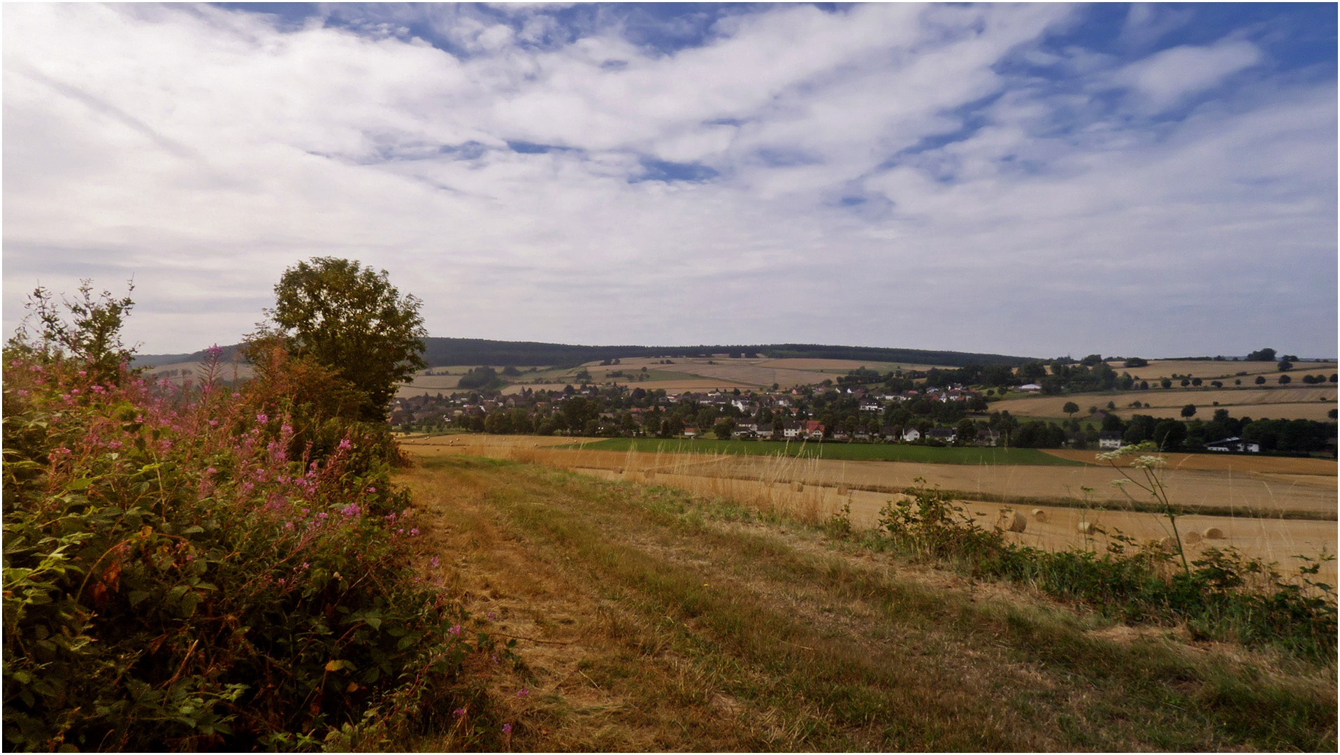 Unterwegs im Solling Foto & Bild | natur, landschaft, felder wiesen ...
