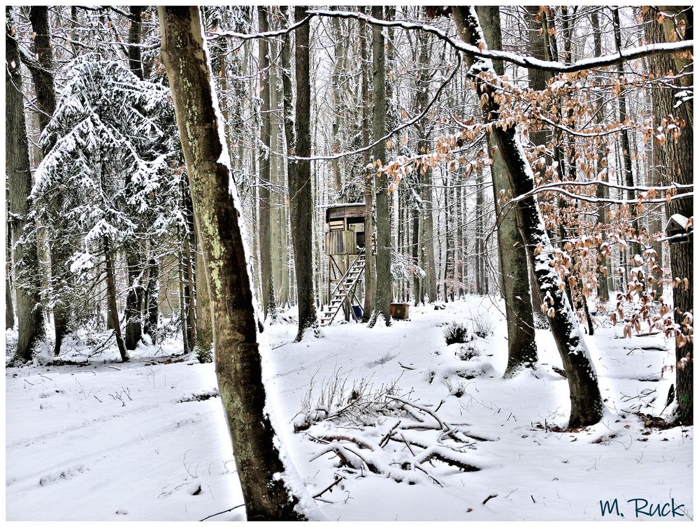 Unterwegs im winterlichen Wald , Foto & Bild | natur-kreativ, wald, januar Bilder auf fotocommunity
