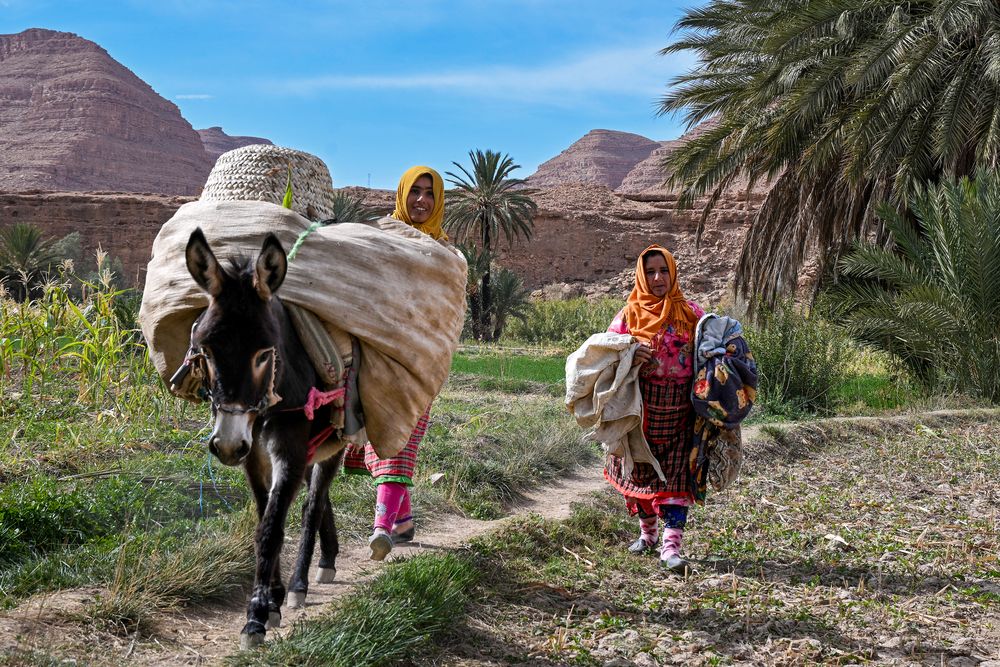 Unterwegs im Ziz-Tal 11 Foto & Bild | erwachsene menschen, africa ...