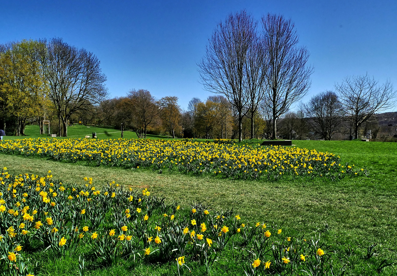Unterwegs in den Hardt-Anlagen Foto & Bild | natur, landschaft, park ...