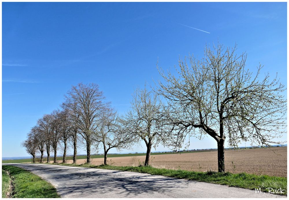 Unterwegs in der Flur , Foto & Bild | landschaft, kulturlandschaften ...