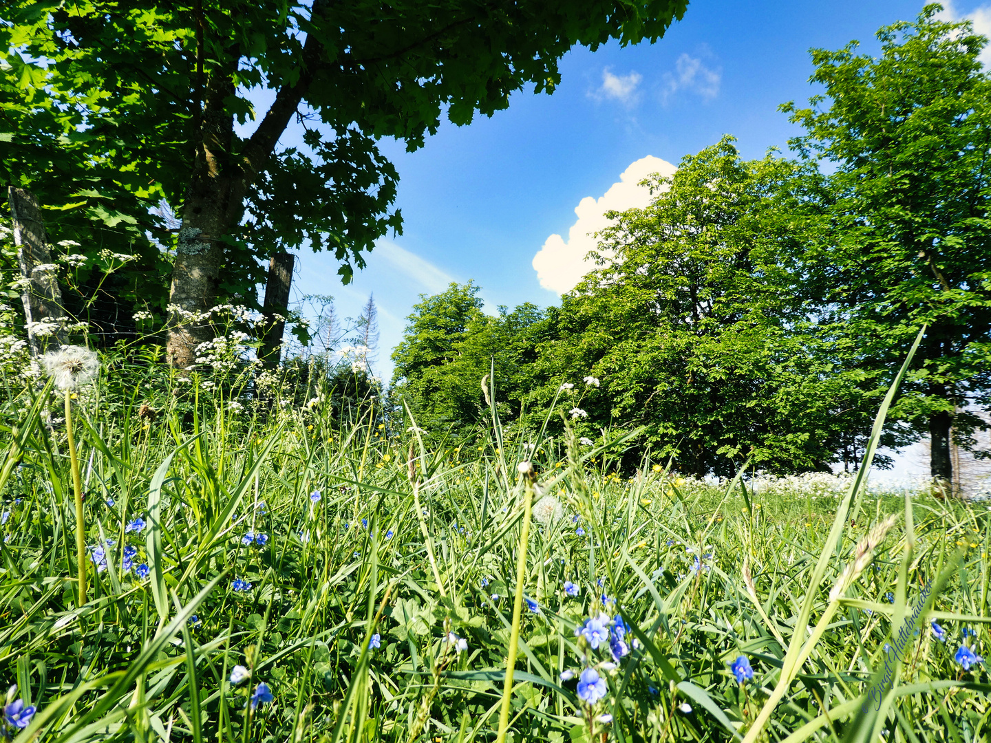 Unterwegs in der Natur Foto & Bild | landschaft, fotos, natur Bilder ...