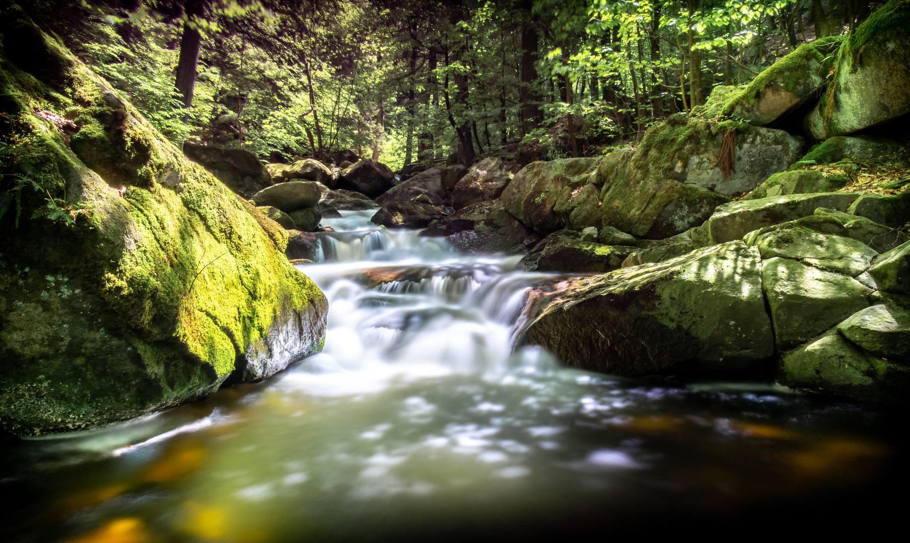 Untouched Nature Foto & Bild | anfängerecke - nachgefragt, nachgefragt ...