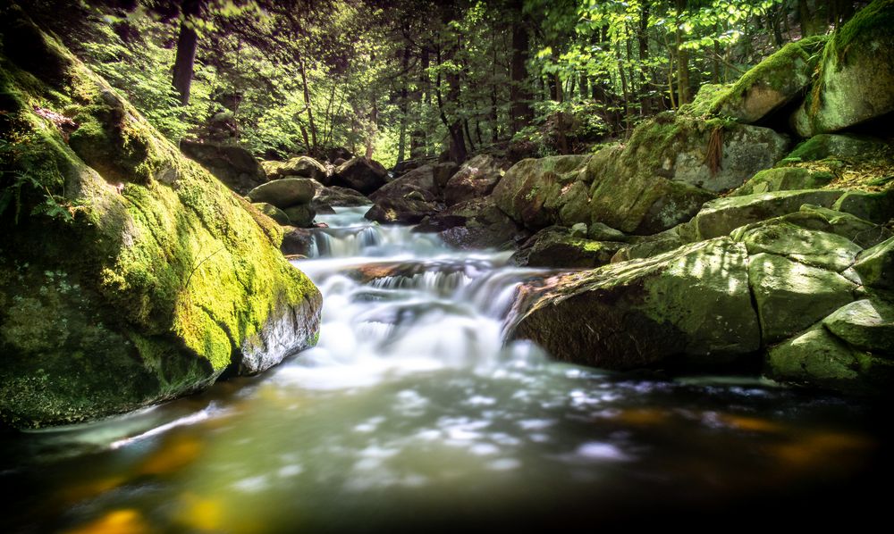 Untouched Nature Foto & Bild | anfängerecke - nachgefragt, nachgefragt ...