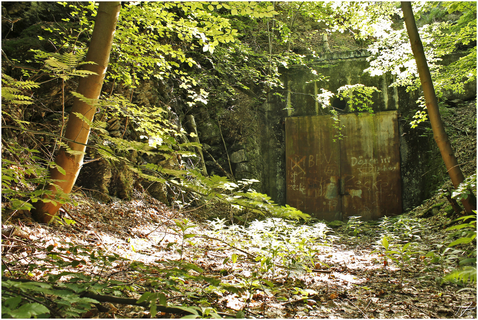 Urgestein der Rübelandbahn... I Foto & Bild | industrie, eisenbahn ...