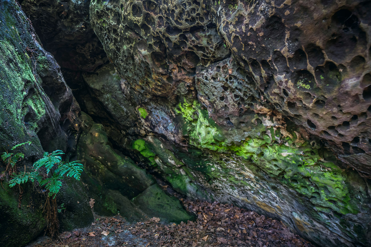 Urgesteine Foto & Bild | natur, felsen, moos Bilder auf fotocommunity