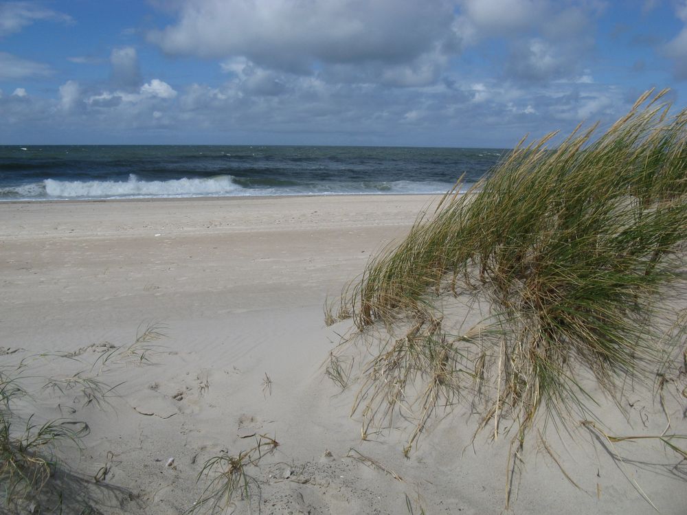 Urlaubssehnsucht - leerer Strand Foto & Bild | landschaft, meer ...