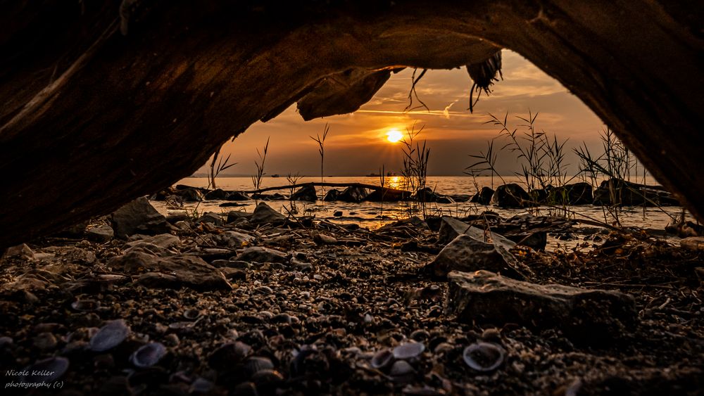 Urlaubszeit… „Blick durch die Wurzel auf den Bodensee“ Foto & Bild ...