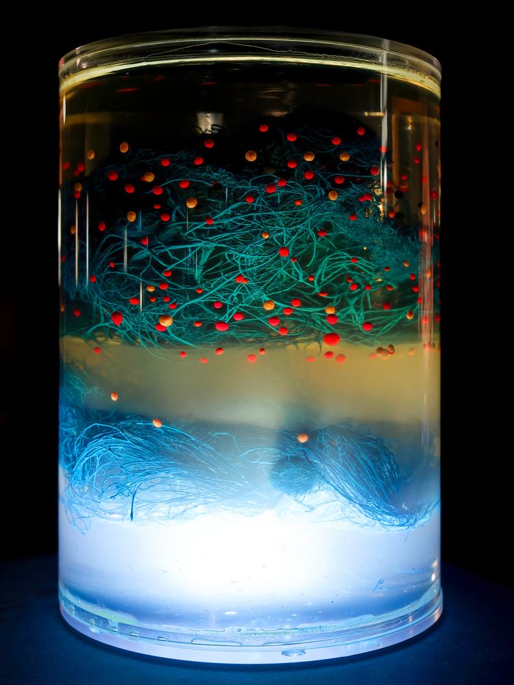 Ursuppe? Foto & Bild | art, spezial, dokumentation Bilder auf fotocommunity