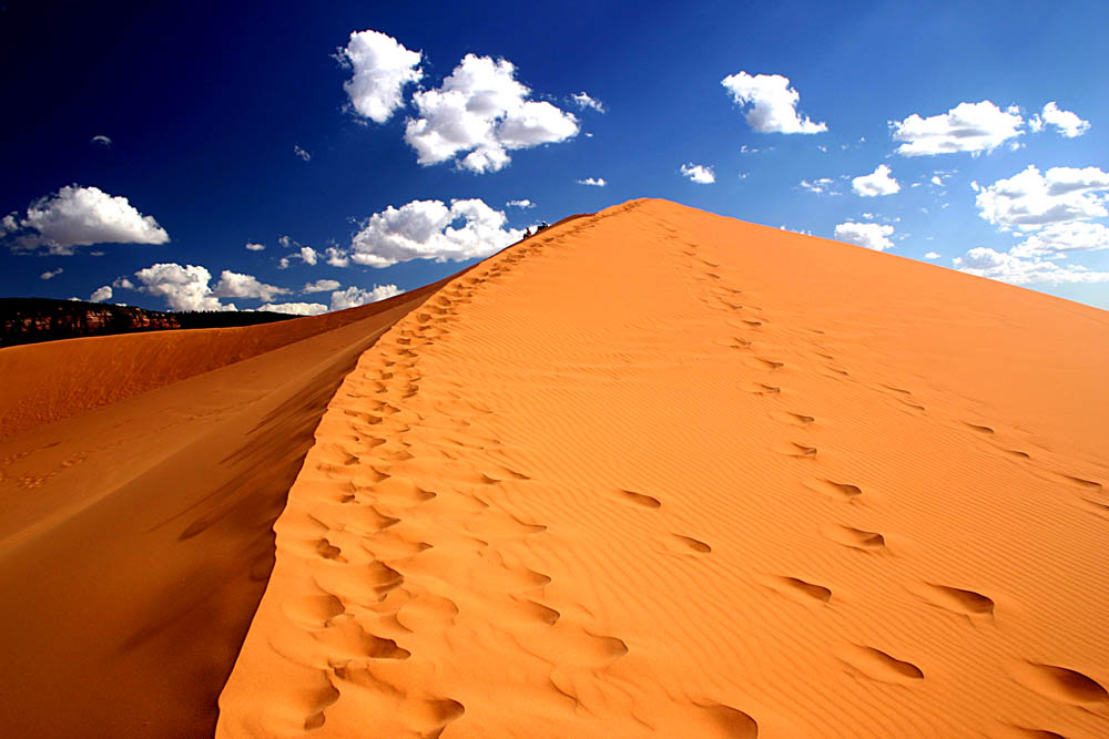 USA - Wüste Foto & Bild | landschaft, wüste, natur Bilder auf fotocommunity