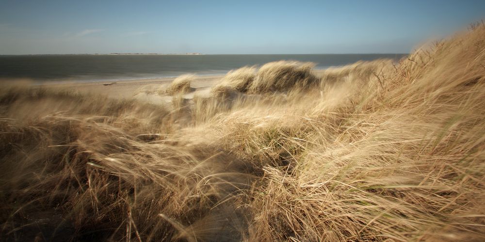 Utersum Föhr Foto & Bild | landschaft, meer & strand, dünen Bilder auf ...