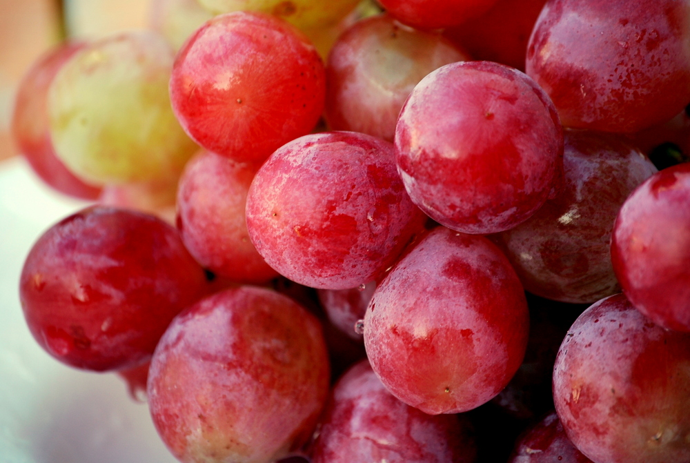 UVAS. Imagen & Foto | naturaleza diversa , naturaleza., naturaleza ...