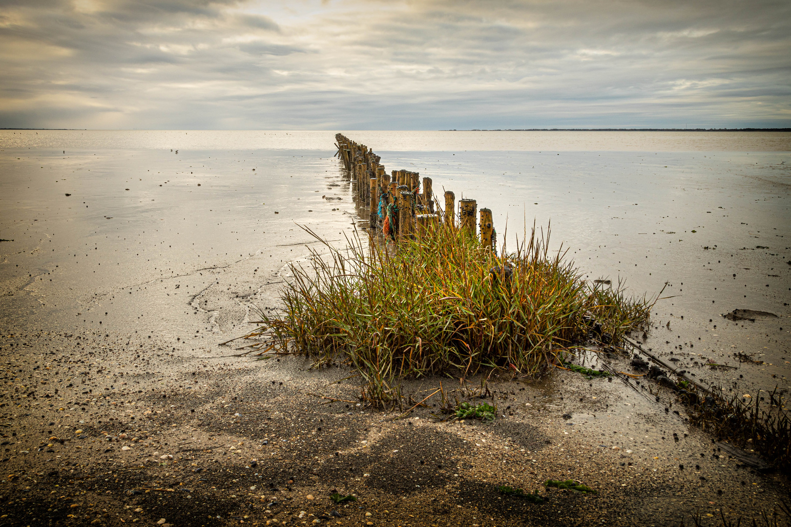 Vadehavet Foto & Bild | landschaft, meer & strand, watt Bilder auf ...
