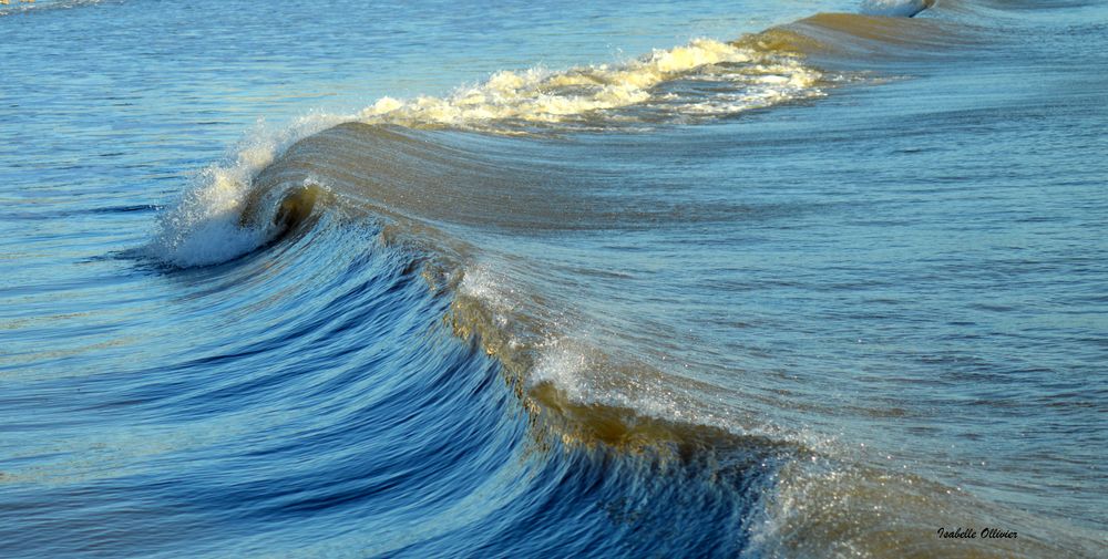 Vague photo et image | images sous-marines, france, nature Images ...