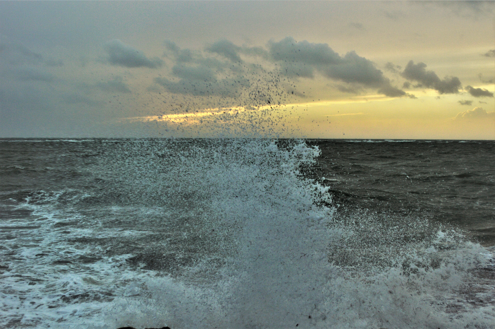 Vague photo et image | paysages, mers et océans, album 1 Images ...