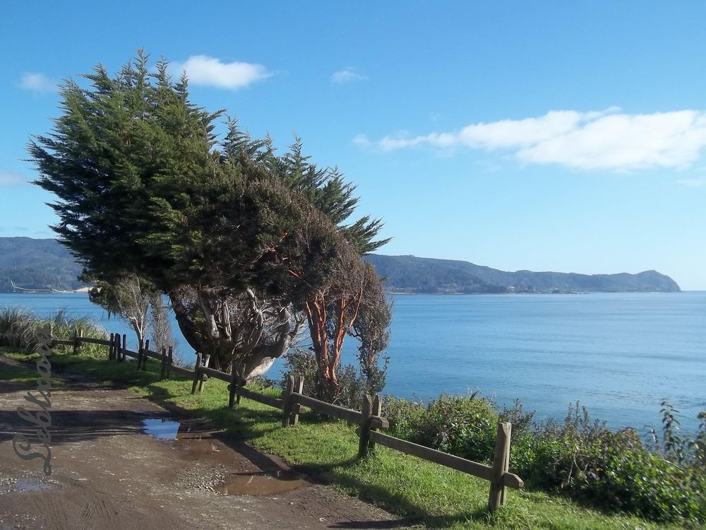 Valdivia - Chile Imagen & Foto | south america, chile, chilean patagonia Fotos de fotocommunity