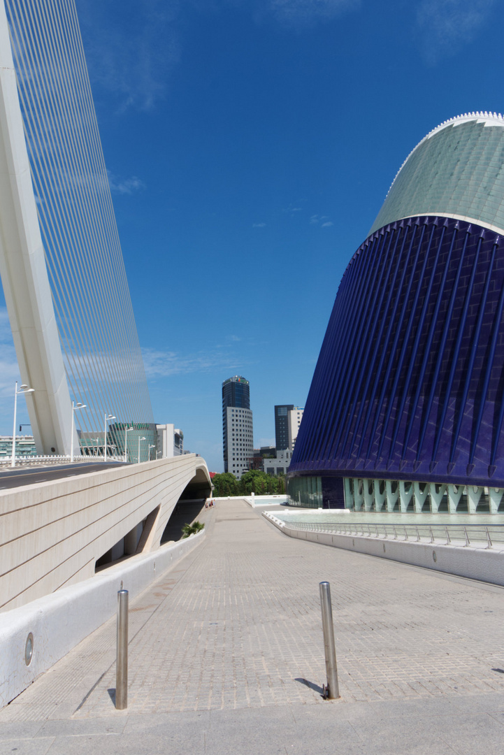 Valencia: Citta? della scienza 3 Foto % Immagini| arte, città, moderne ...
