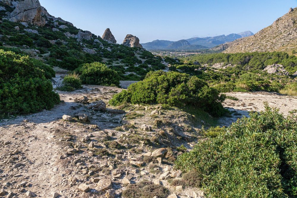 Vall de Boca Foto & Bild | spain, world, mallorca Bilder auf fotocommunity