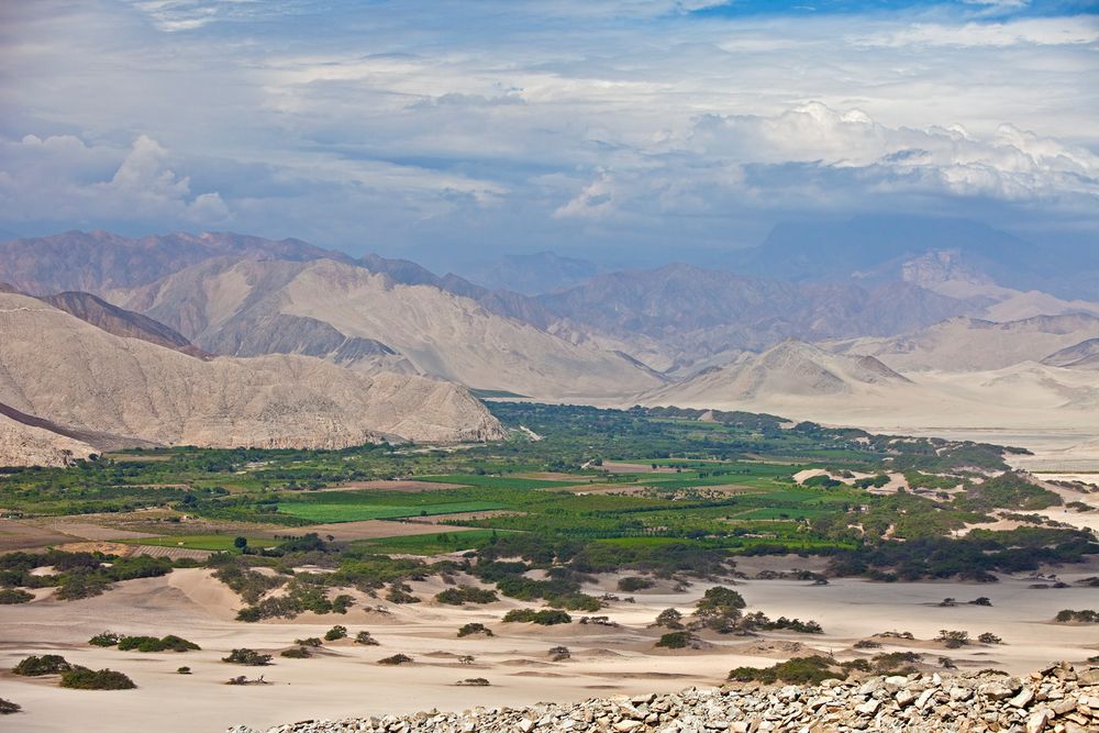 Valle de Casma, PERU photo & image | paisajes, campo, naturaleza images ...