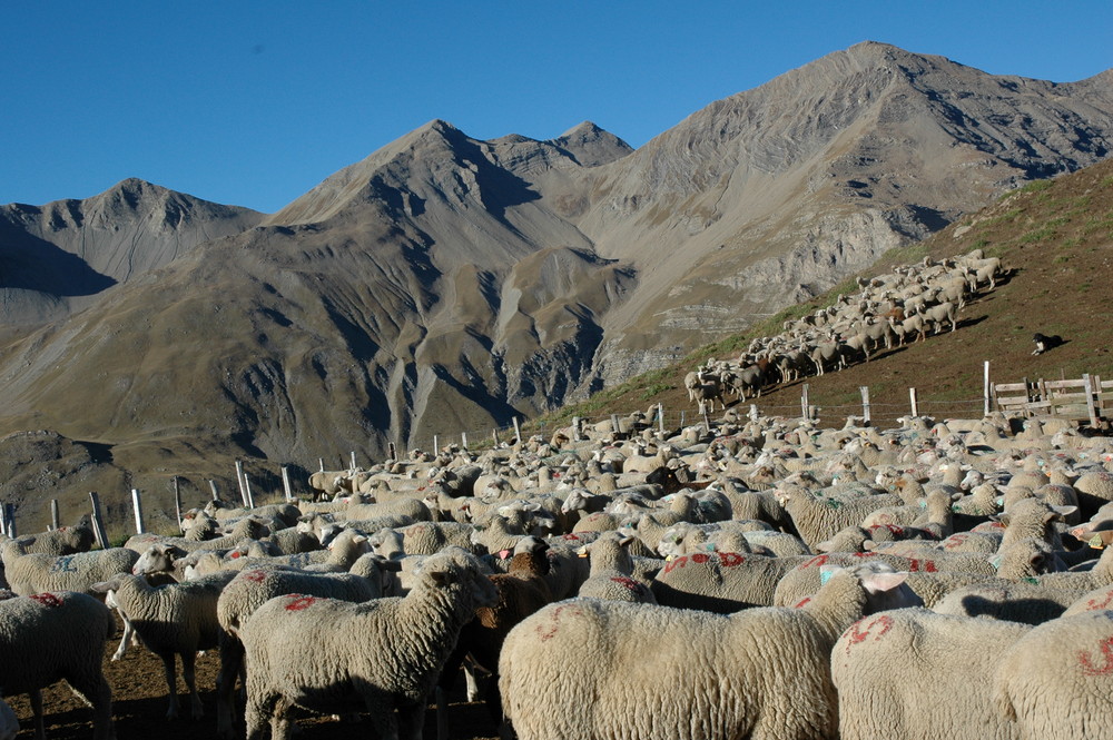 vallon photo et image | paysages, nature Images fotocommunity