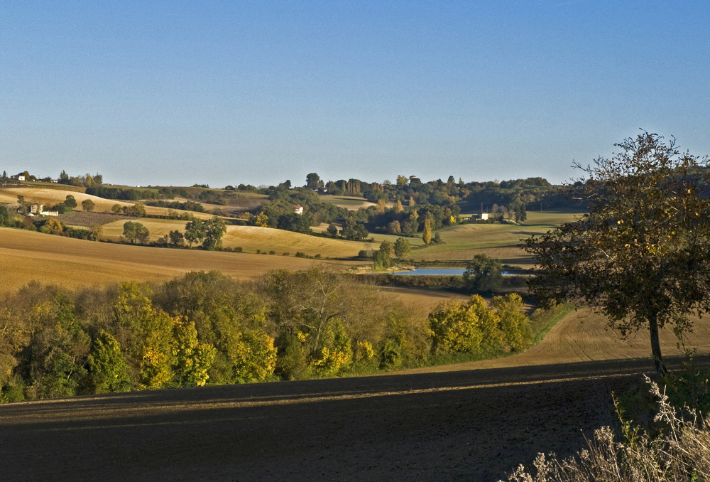 Vallonnement gersois à l’automne -- Hügelige Landschaft von dem Gers im ...