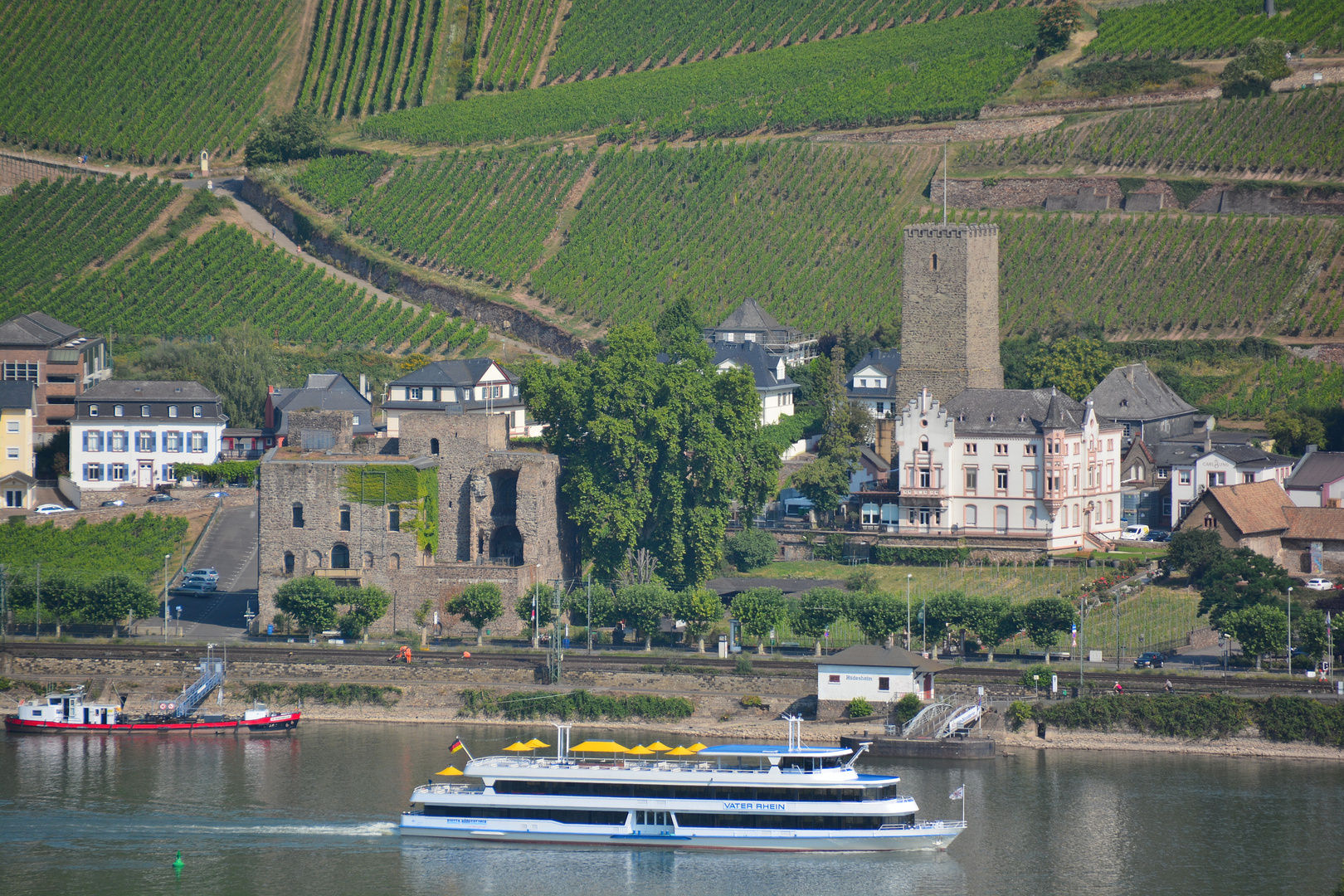 "Vater Rhein" vor Rüdesheim Foto & Bild | deutschland, europe ...
