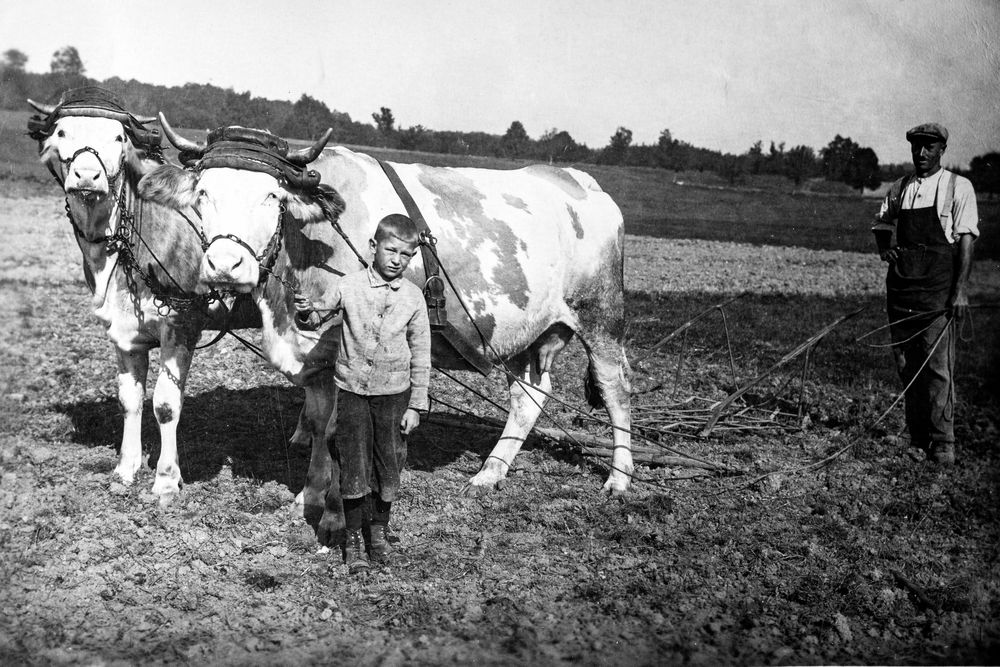 Vater und Sohn Foto & Bild | dokumentation reportage ...