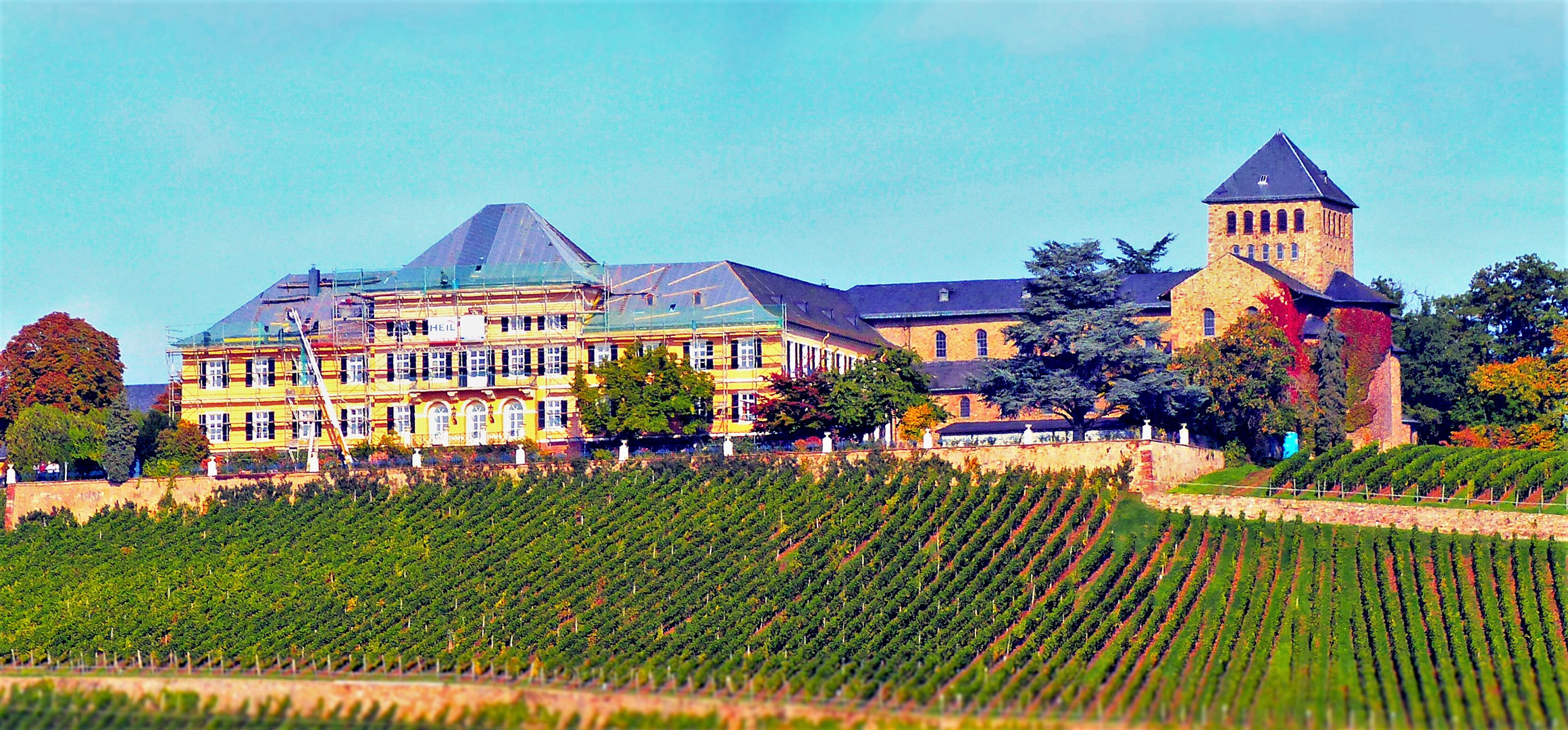 VDP Weingut Schloss Johannisberg Foto & Bild | world, deutschland ...