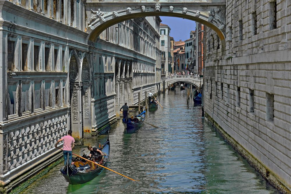 VENEDIG - Gondoliere - Foto & Bild | italy, world, venezia Bilder auf fotocommunity